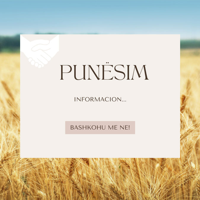 Punësim - Kristofor Kolombi
